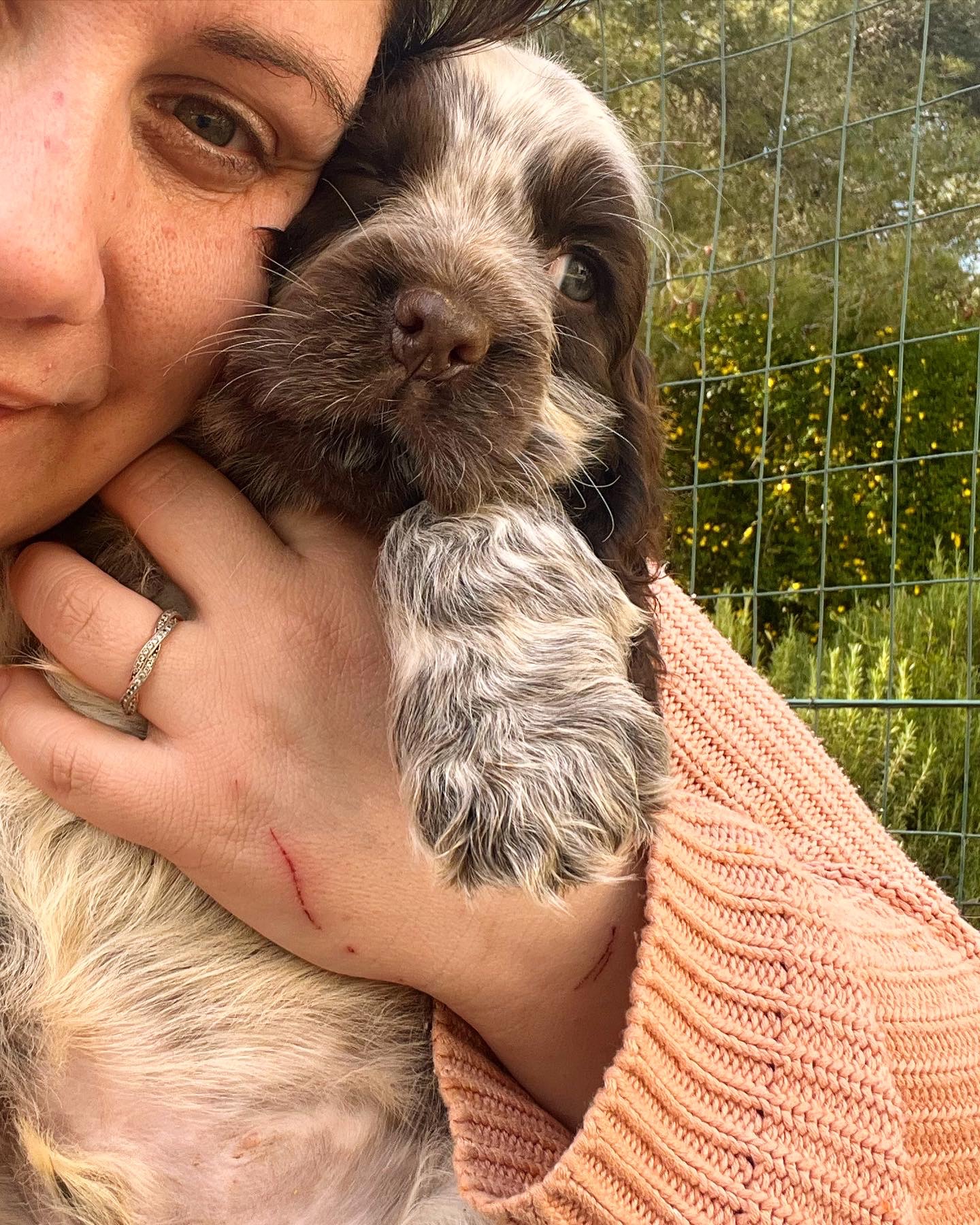 Cuccioli – Daydreaming stars